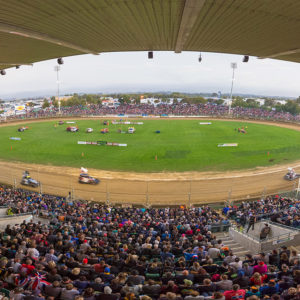 | Palmy Venues Arena 1