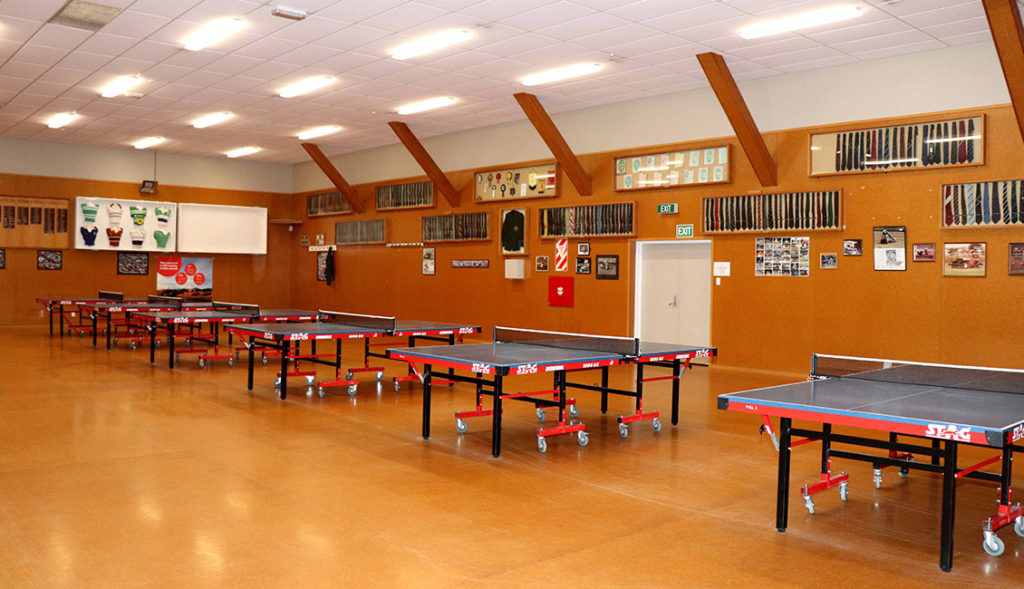 | Palmy Venues Arena 5